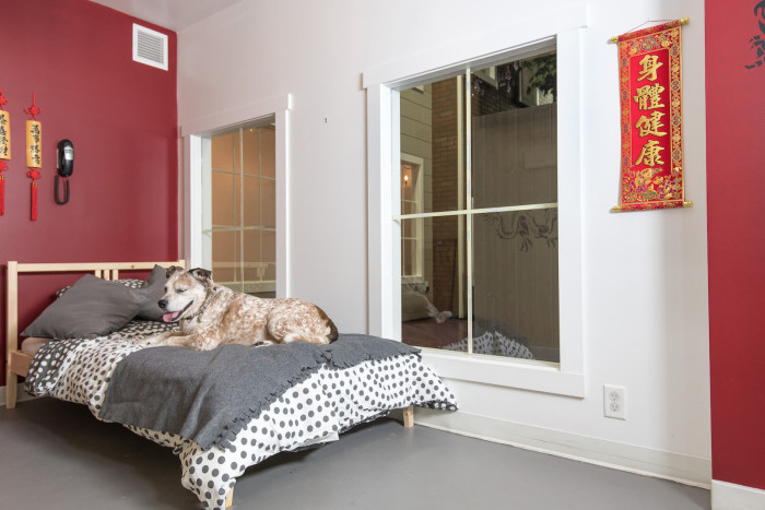 Dog Boarding Checklist: A Complete Health & Preparation Guide | JPR