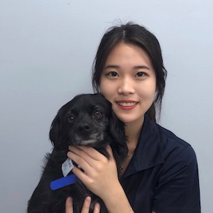 Soomin Cho | Jet Pet Resort