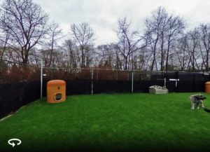 Dog Boarding and Daycare North Vancouver 🥇 Jet Pet Resort