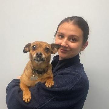 Jasmine | Jet Pet Resort